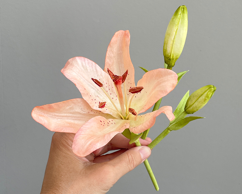 Wafer Paper Guide - Chokolate Designs