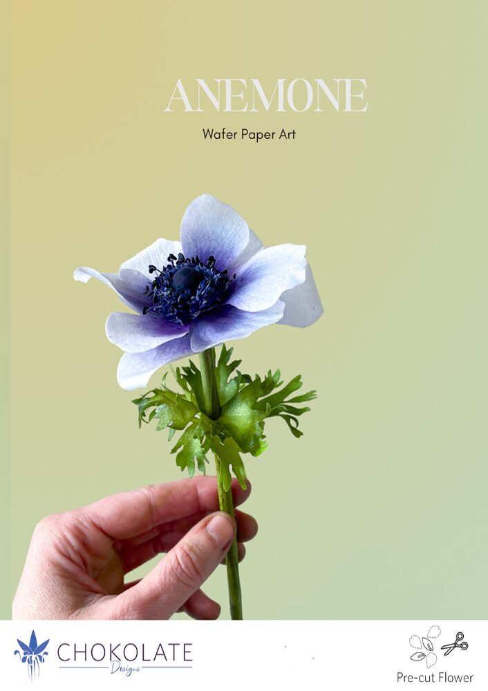 Pre-Cut Wafer Paper Anemones Flowers