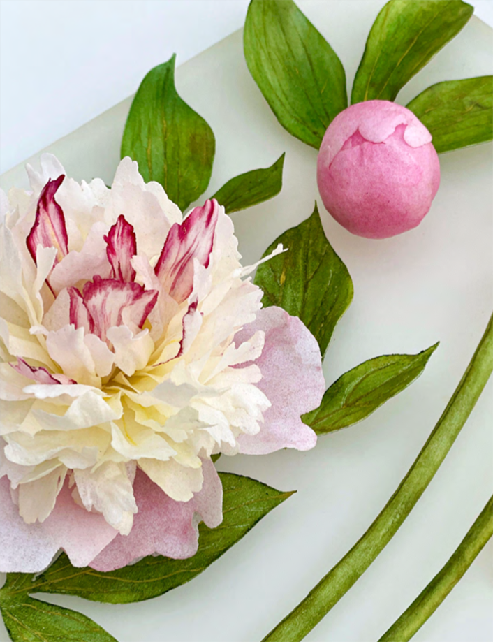 Pre-Cut Wafer Paper Peony Flowers