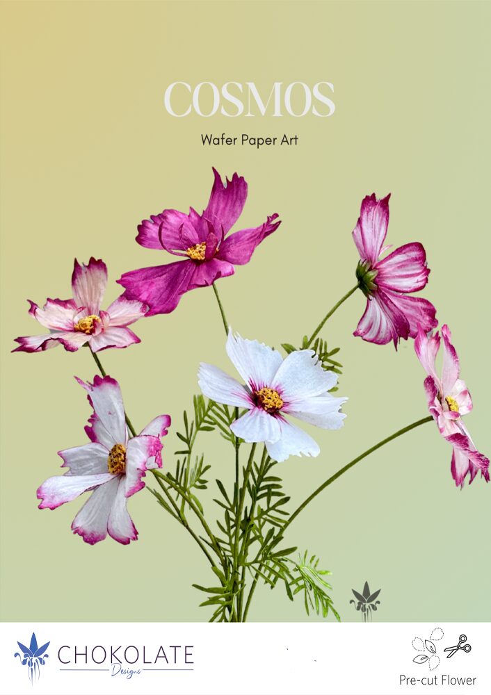 Pre-Cut Wafer Paper Cosmos Flowers