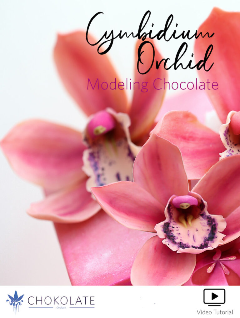 Cymbidium Orchid Video