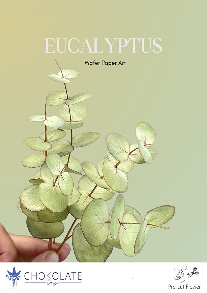 Pre-Cut Wafer Paper Eucalyptus