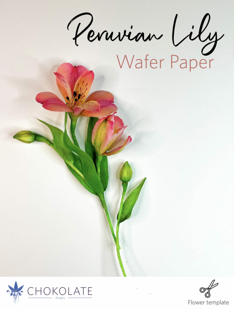 Peruvian Lily Alstroemeria Template - Chokolate Designs
