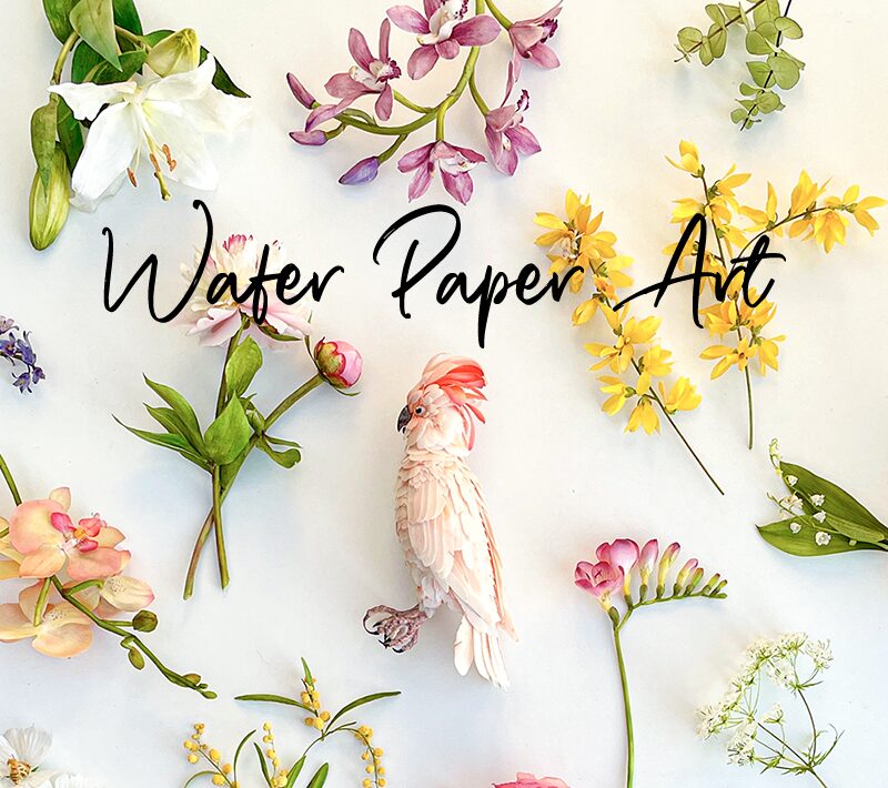 Wafer Paper Guide - Chokolate Designs