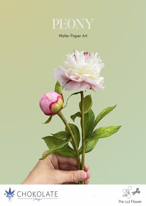 Pre-Cut Wafer Paper Peony Flowers