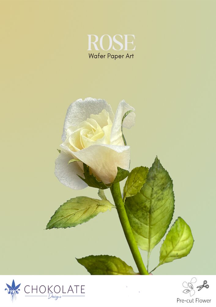 Pre-Cut Wafer Paper Roses Flowers